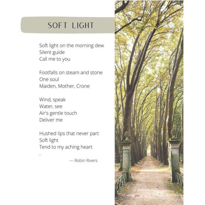 Poems About Light by Robin Rivers